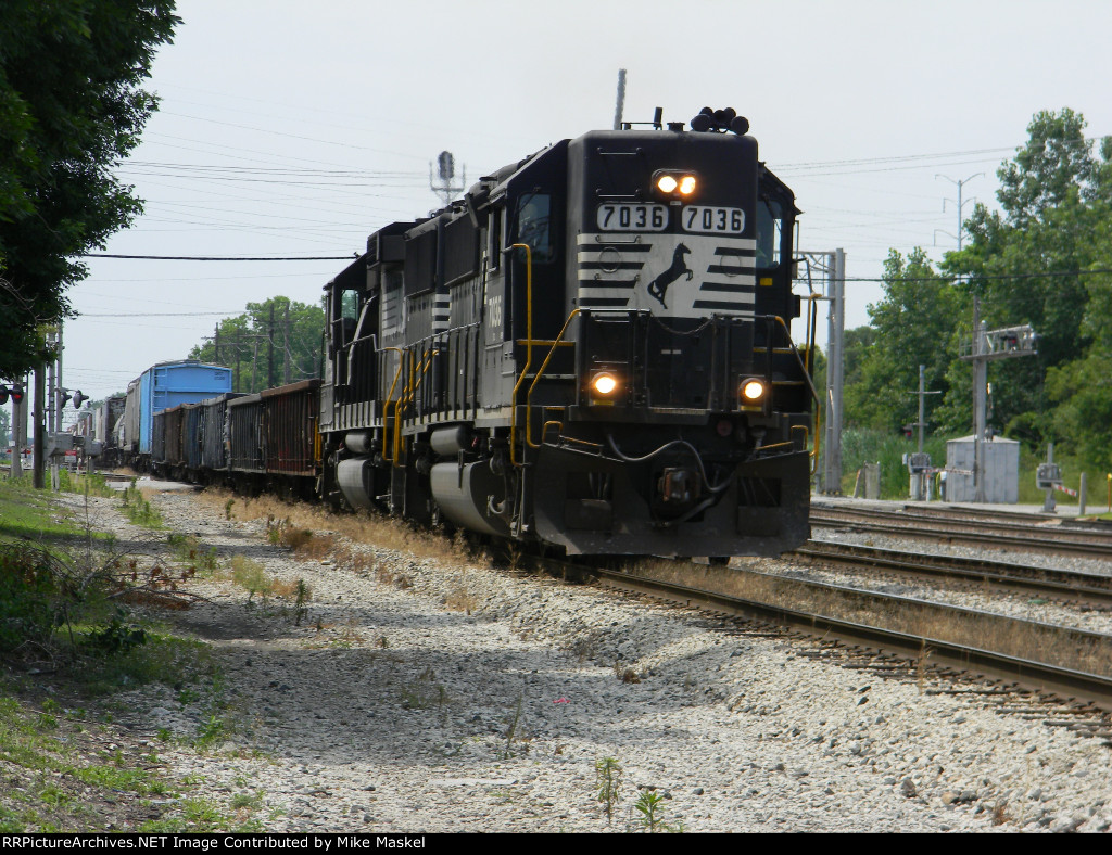 NS 7036